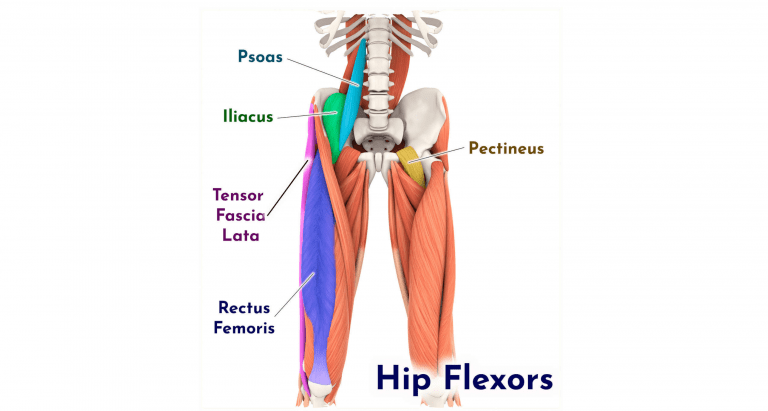 Hip Flexors and Proposal Stretch | Mind Heart Body Centre